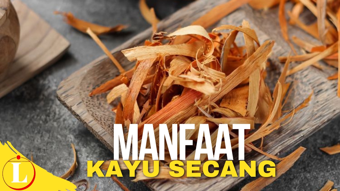 Temukan 8 Manfaat Kayu Secang untuk Kesehatan yang Jarang Diketahui Temukan 8 Manfaat Kayu Secang untuk Kesehatan yang Jarang Diketahui
